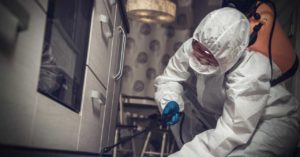 15 Best Pest Control Services in Hong Kong - Hong Kong OFW